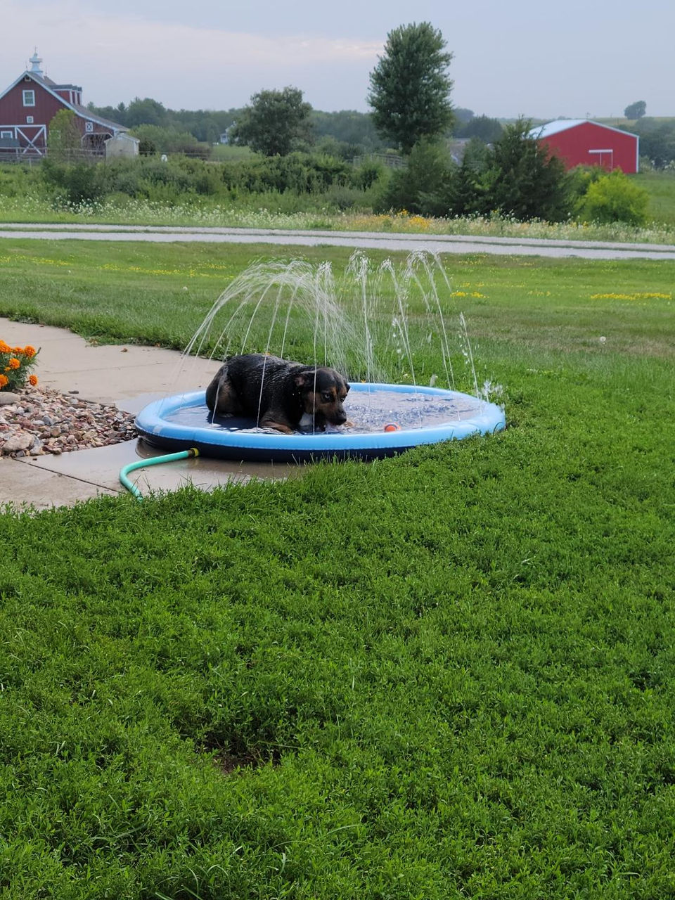 Meet Mike Paxson | ASSA ABLOY DSS