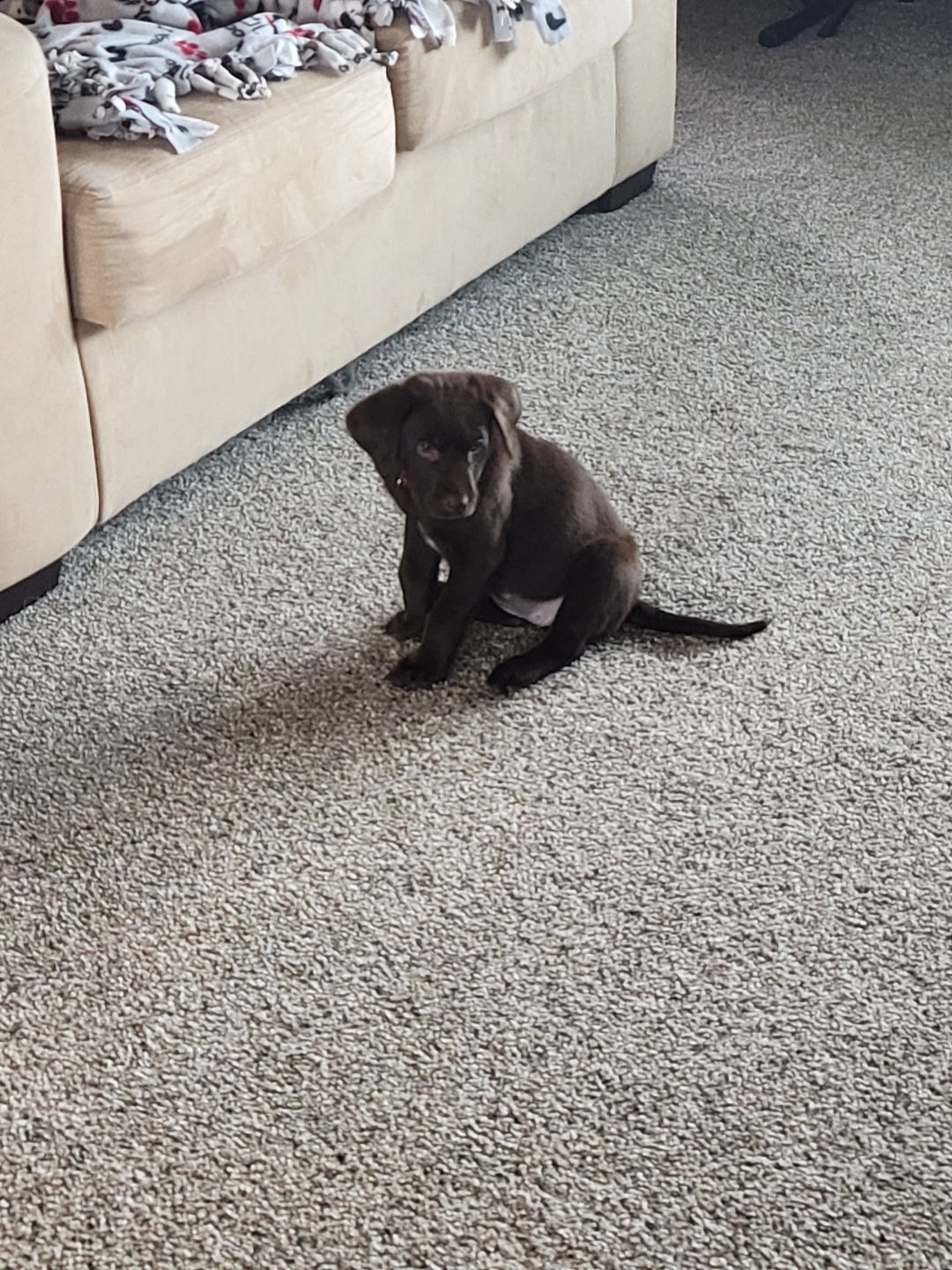 Meet Mike Paxson | ASSA ABLOY DSS