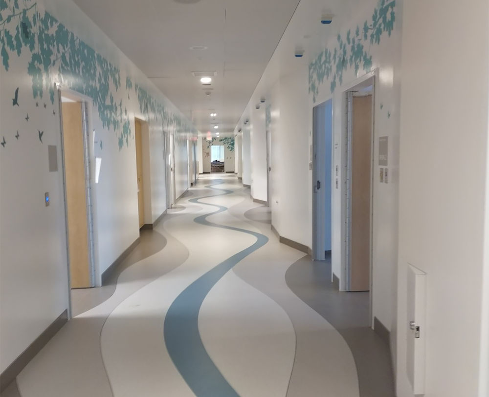Big Lots Behavioral Health Pavilion | ASSA ABLOY DSS